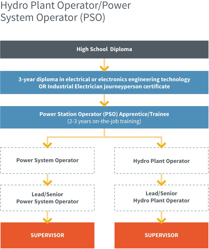 Hydro Plant Operator | ElectricityIndustryNL